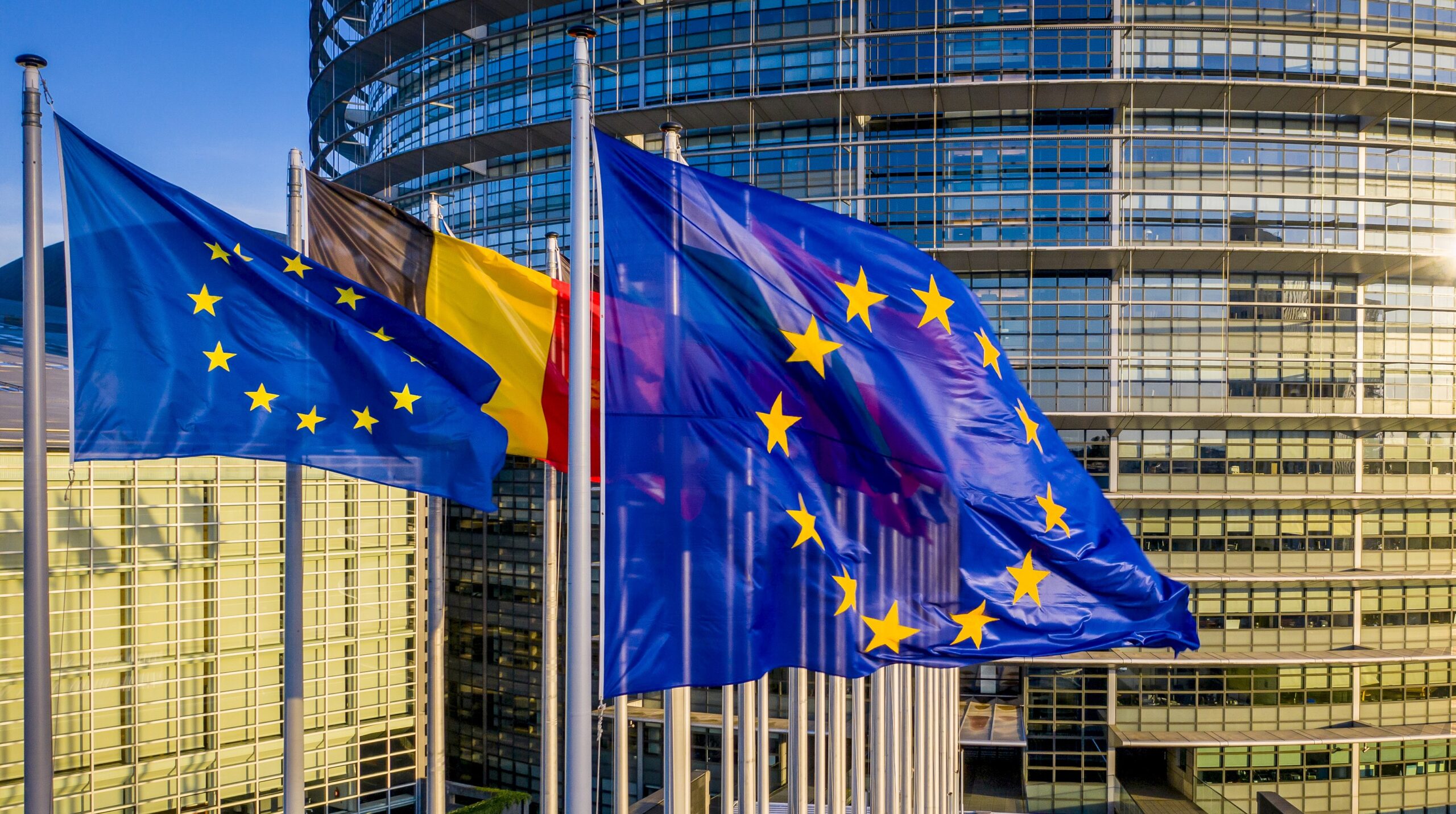 Directive européenne sur les violences faites aux femmes : une version ...